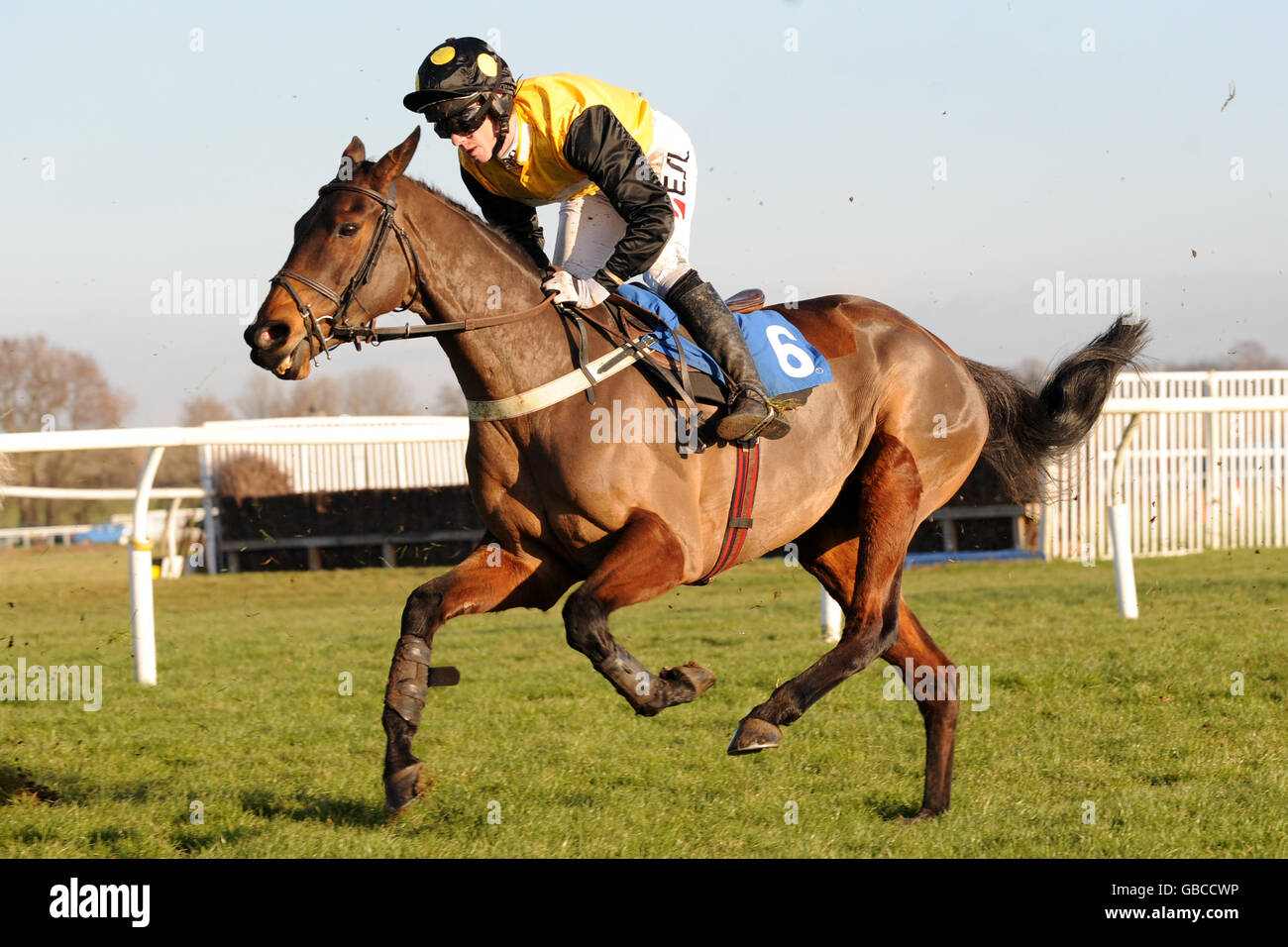 Tessanoora hi-res stock photography and images - Alamy