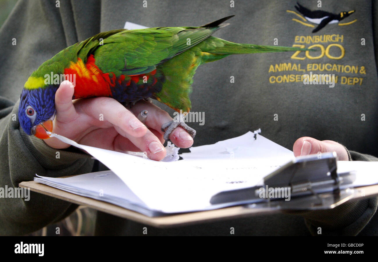 Lead Animal Presenter Sarah Wright takes stock of the Rainbow Lorikeets ...