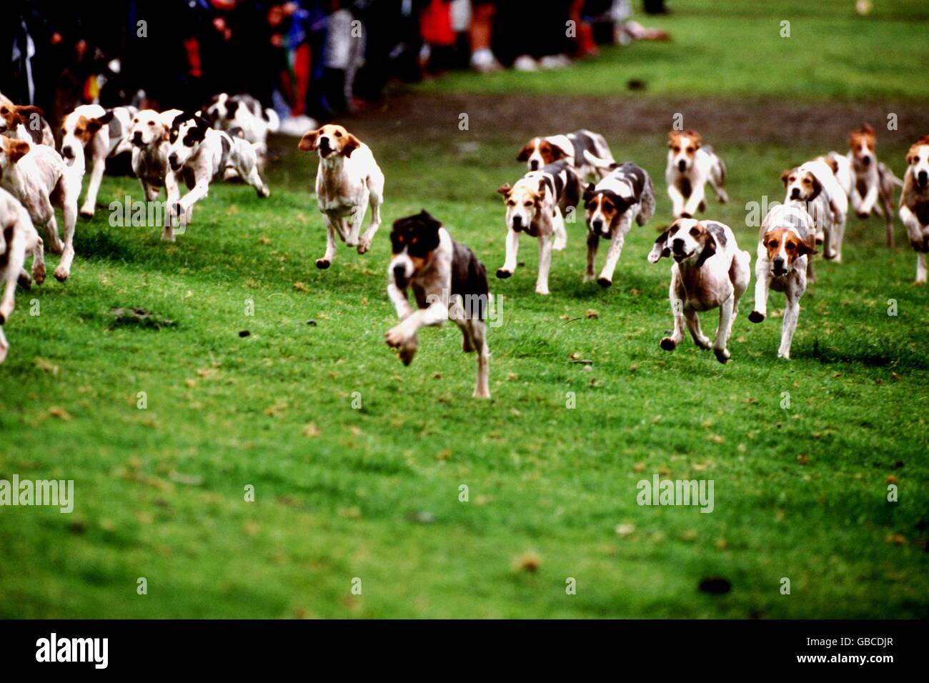 AMBLESIDE LAKELAND SPORTS DAY. AMBLESIDE LAKELAND SPORTS DAY Stock ...