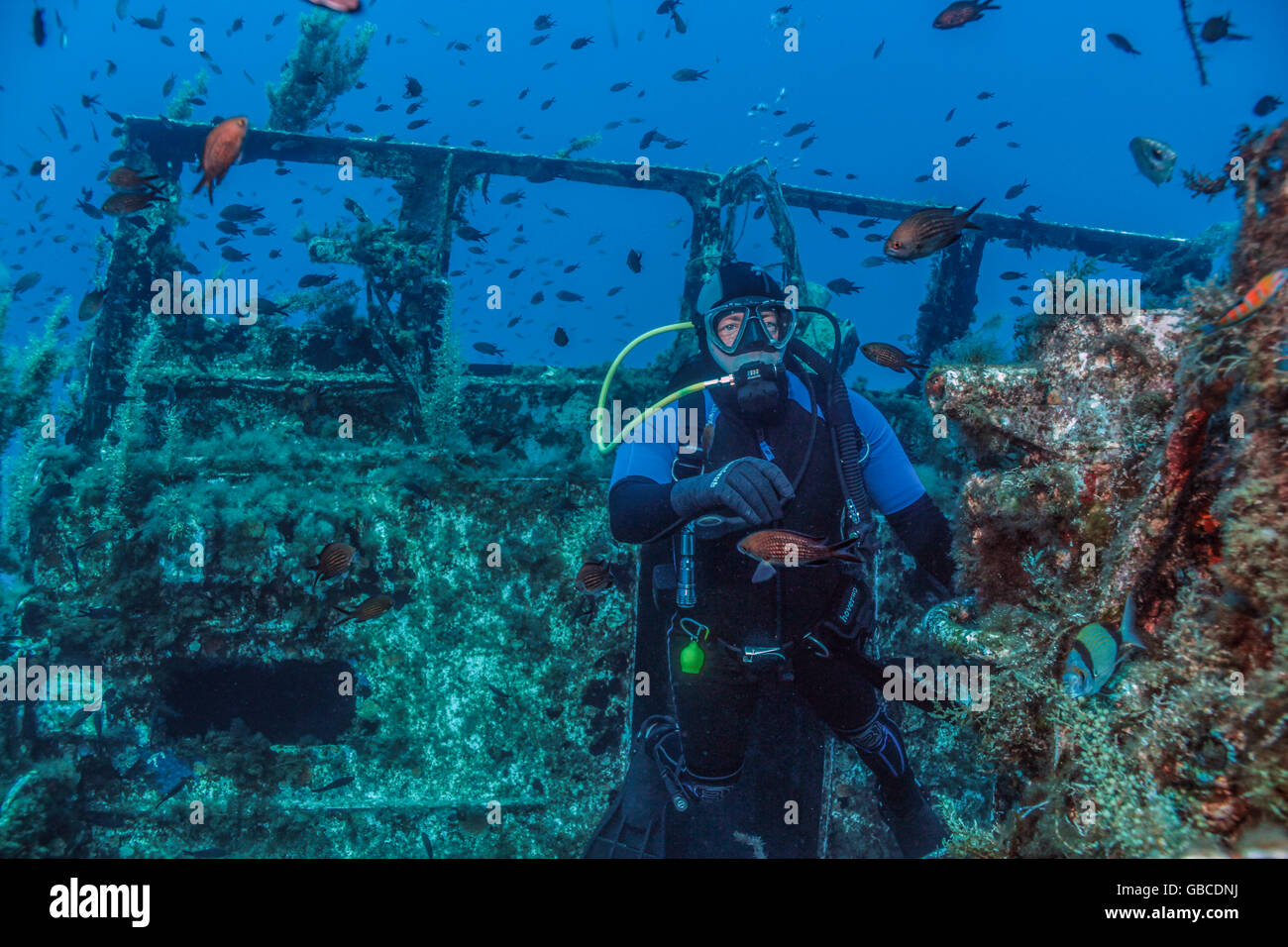 Diver on the bridge of a sunken patrol boat surrounded by fish Stock ...