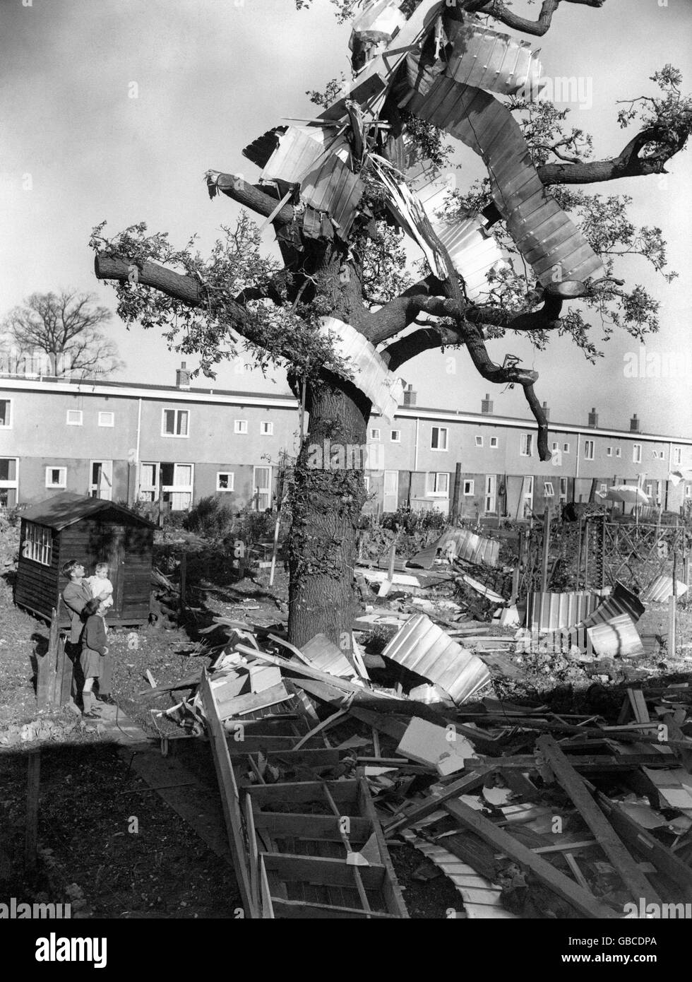 A man and a child look at storm damage inflicted to a tree Stock Photo ...