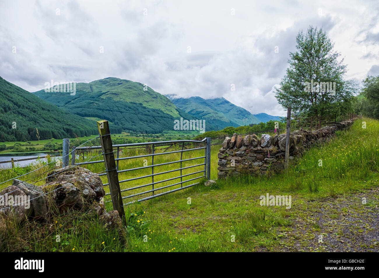 Old farm metal field gate hi-res stock photography and images - Alamy