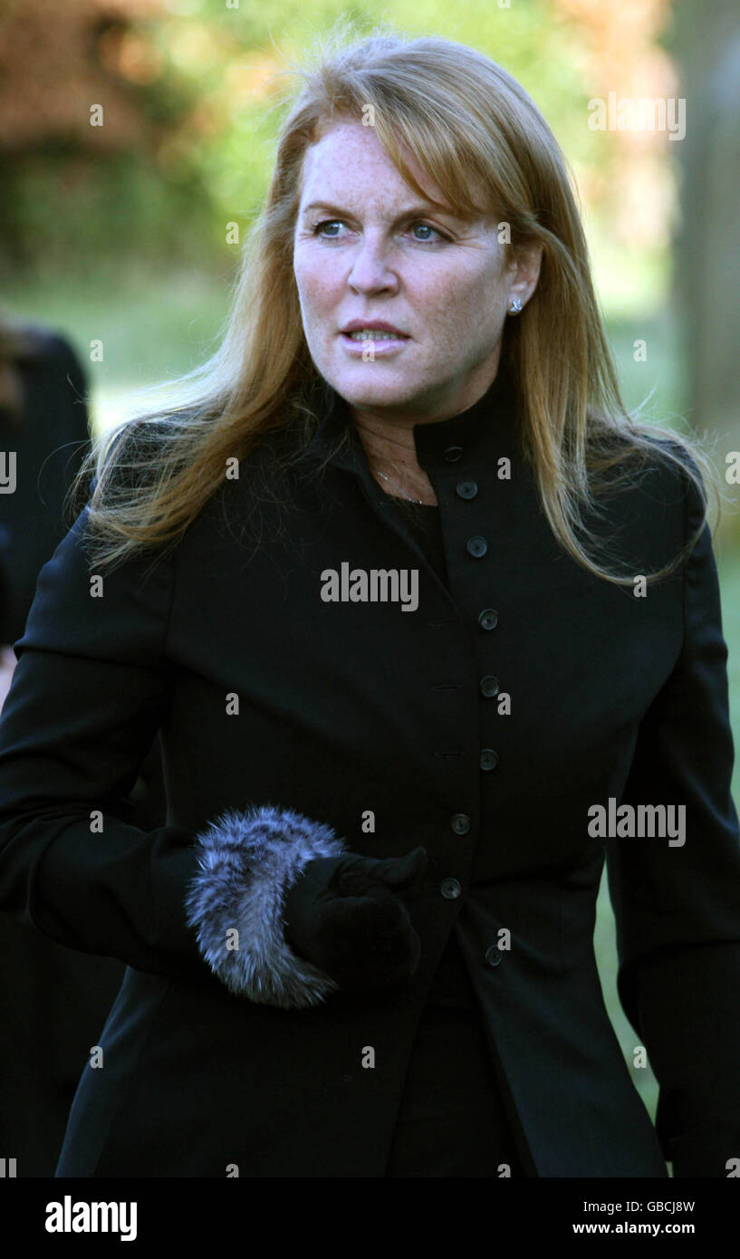 Dai Llewellyn Stock Photos & Dai Llewellyn Stock Images - Alamy