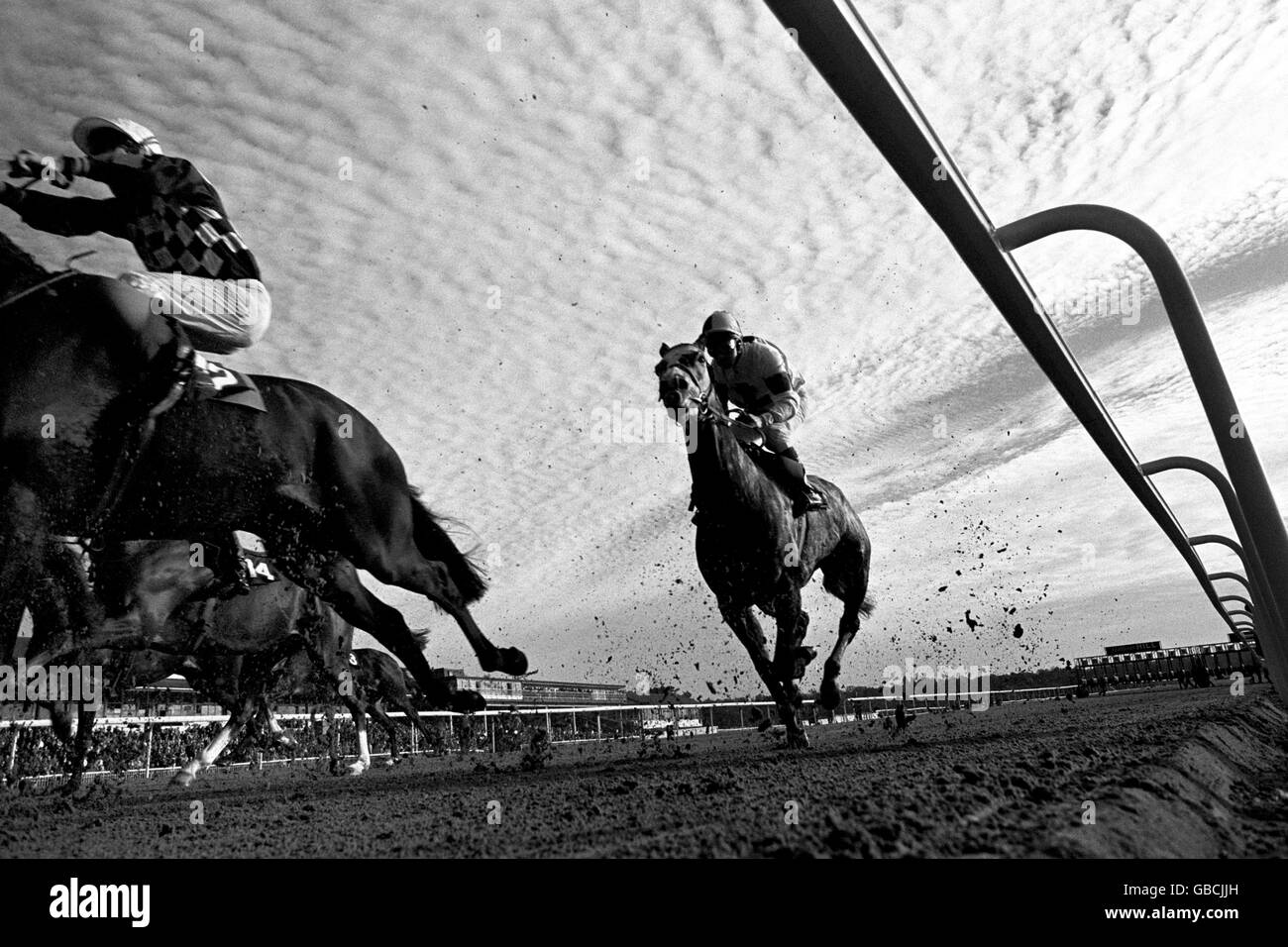 Horse Racing - William Hill Handicap - Lingfield Park - 1989 Stock ...