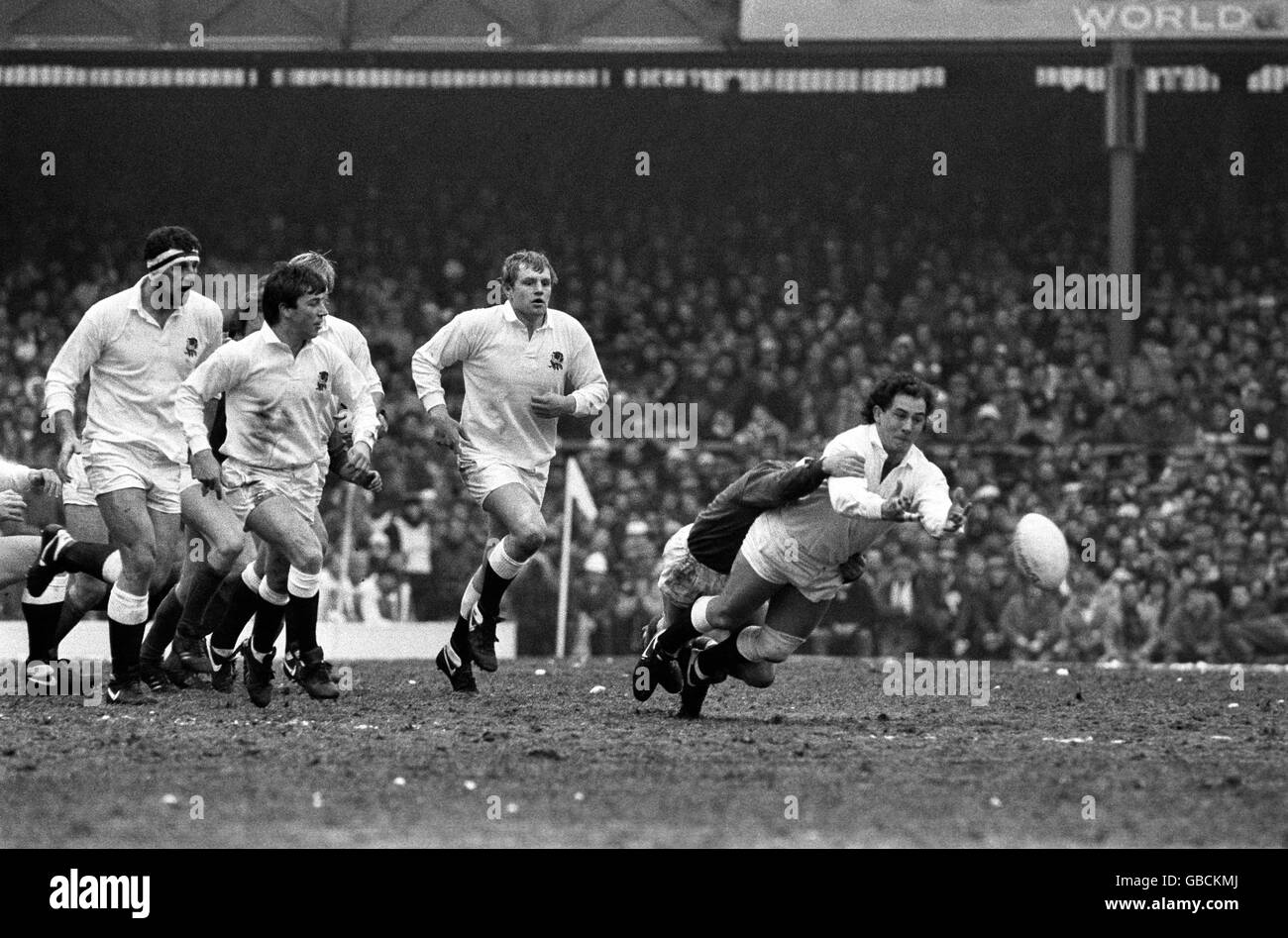 Gary rees rugby hi-res stock photography and images - Alamy