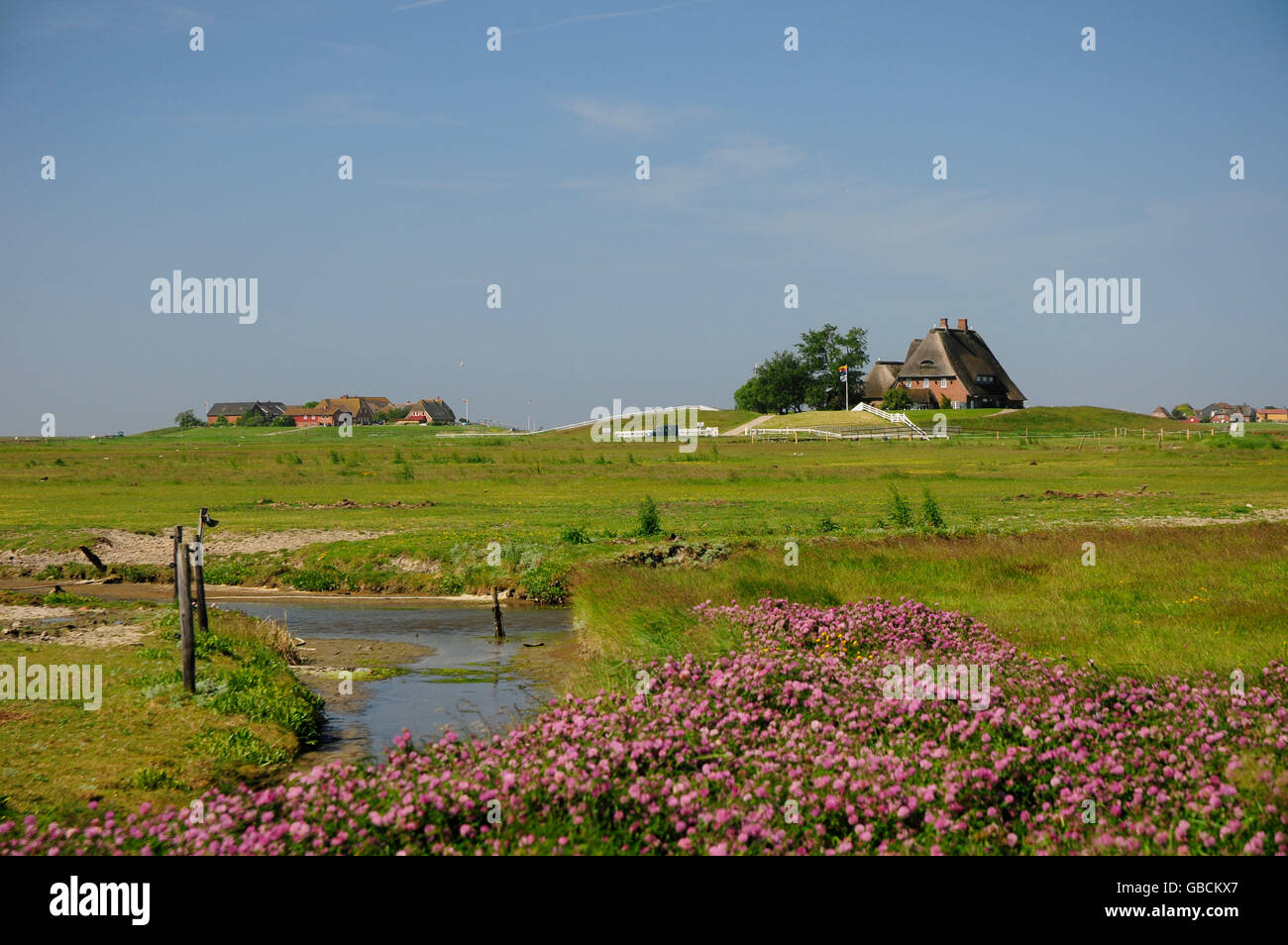 Nordsee hallig hooge warft hallig hi-res stock photography and images ...