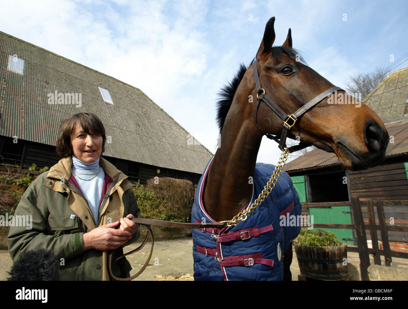 Horse racing henrietta knight stables open day hi-res stock photography ...