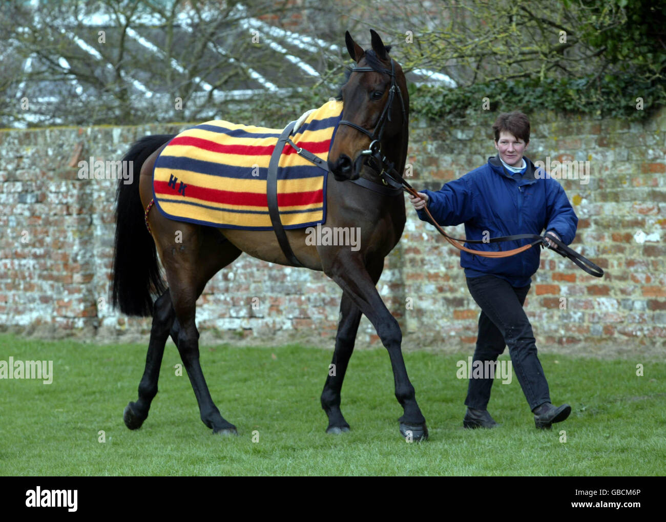 Horse Racing - Henrietta Knight Stables Open Day Stock Photo - Alamy