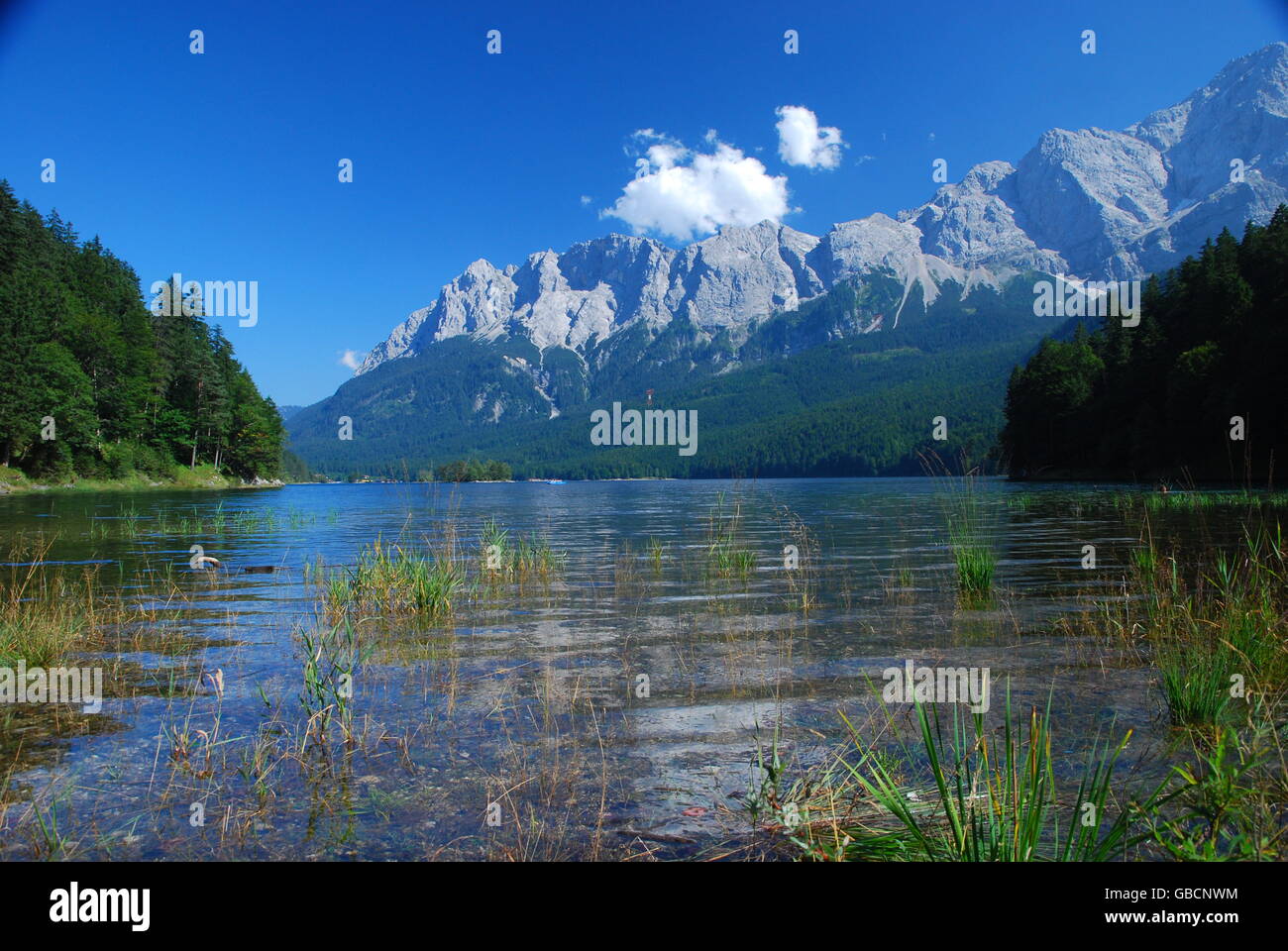 Bergsee, Gebirge, Sommer, Eibsee, Zugspitze, Bayern Stock Photo - Alamy