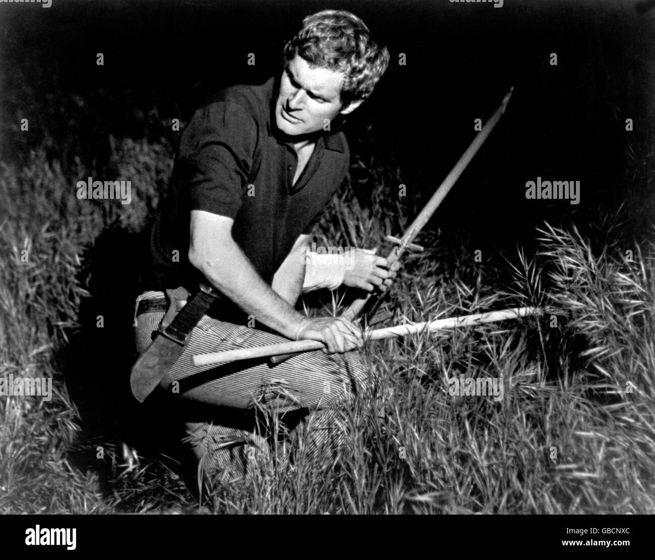 Count Yorga, Vampire, aka: Junges Blut für Dracula, USA 1970, Regie ...