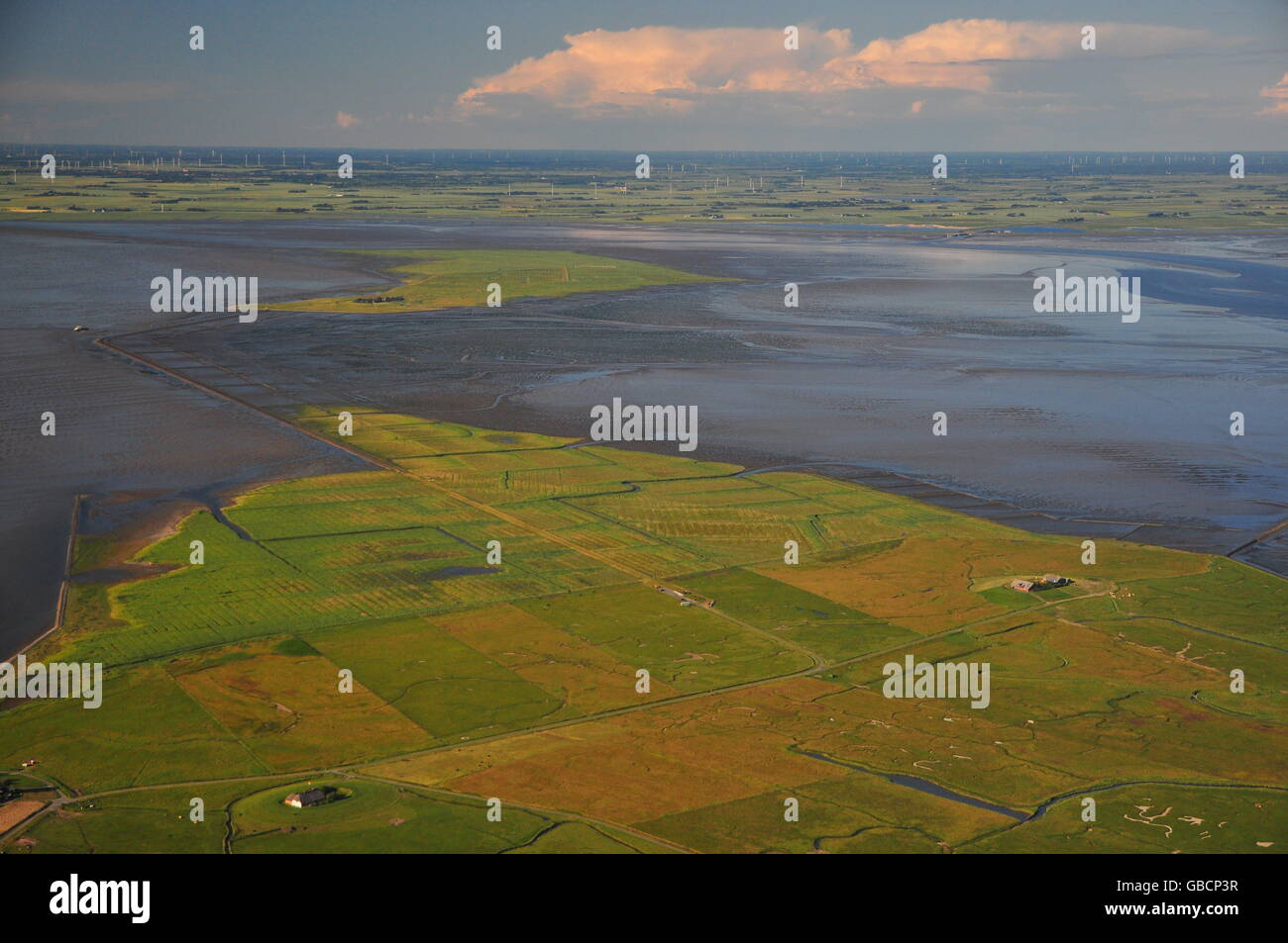 Hallig oland hi-res stock photography and images - Alamy