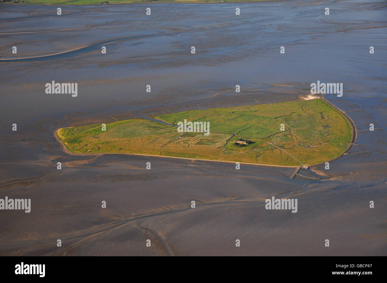 Hallig sudfall hi-res stock photography and images - Alamy