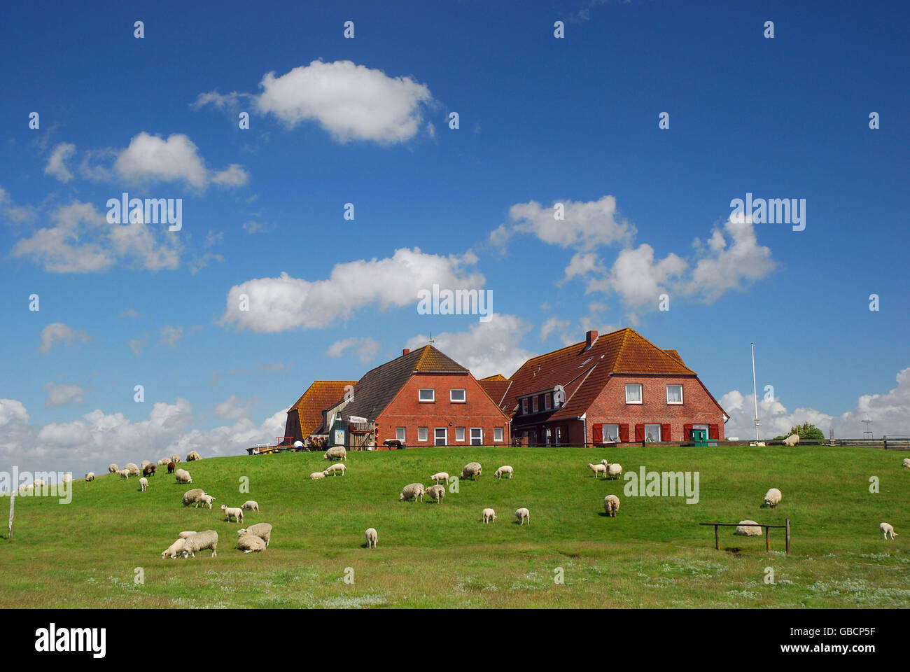 Hallig Nordstrandischmoor, North Friesland, North Sea, Schleswig ...