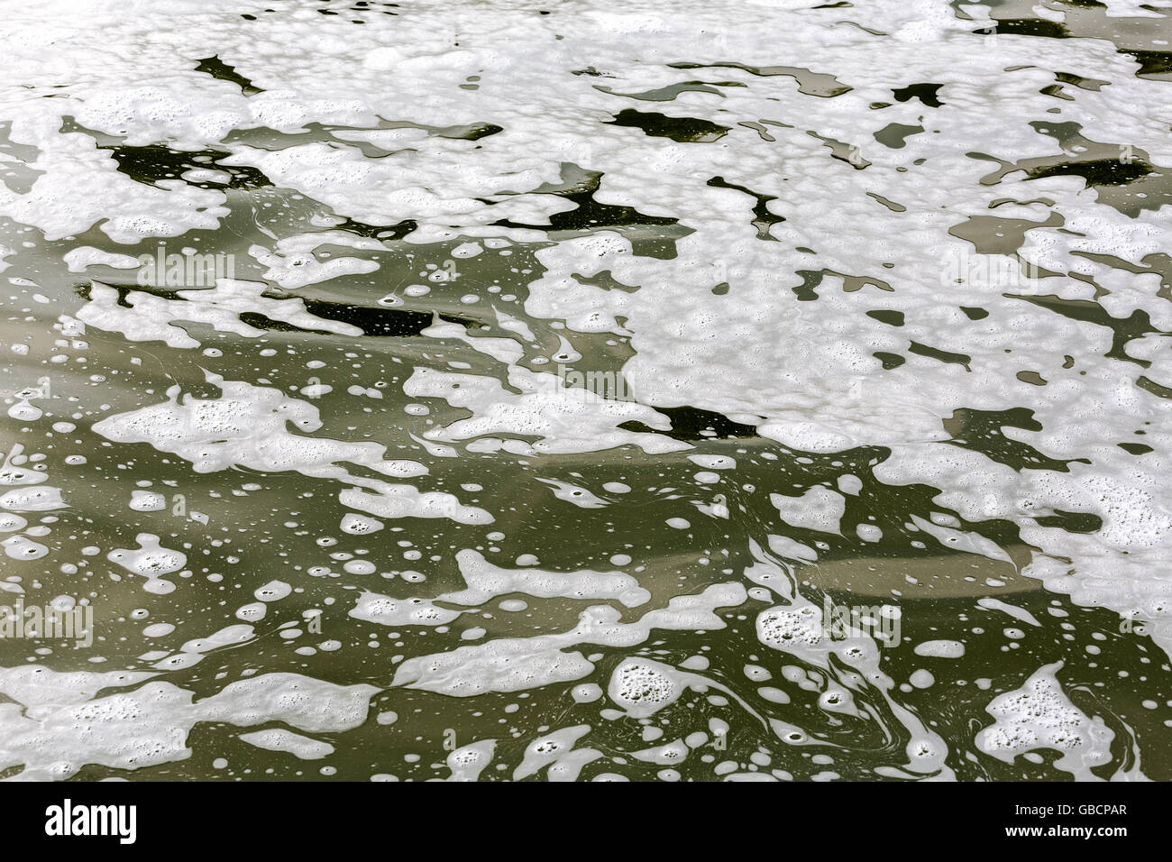 Foam floating on a surface of polluted water Stock Photo - Alamy