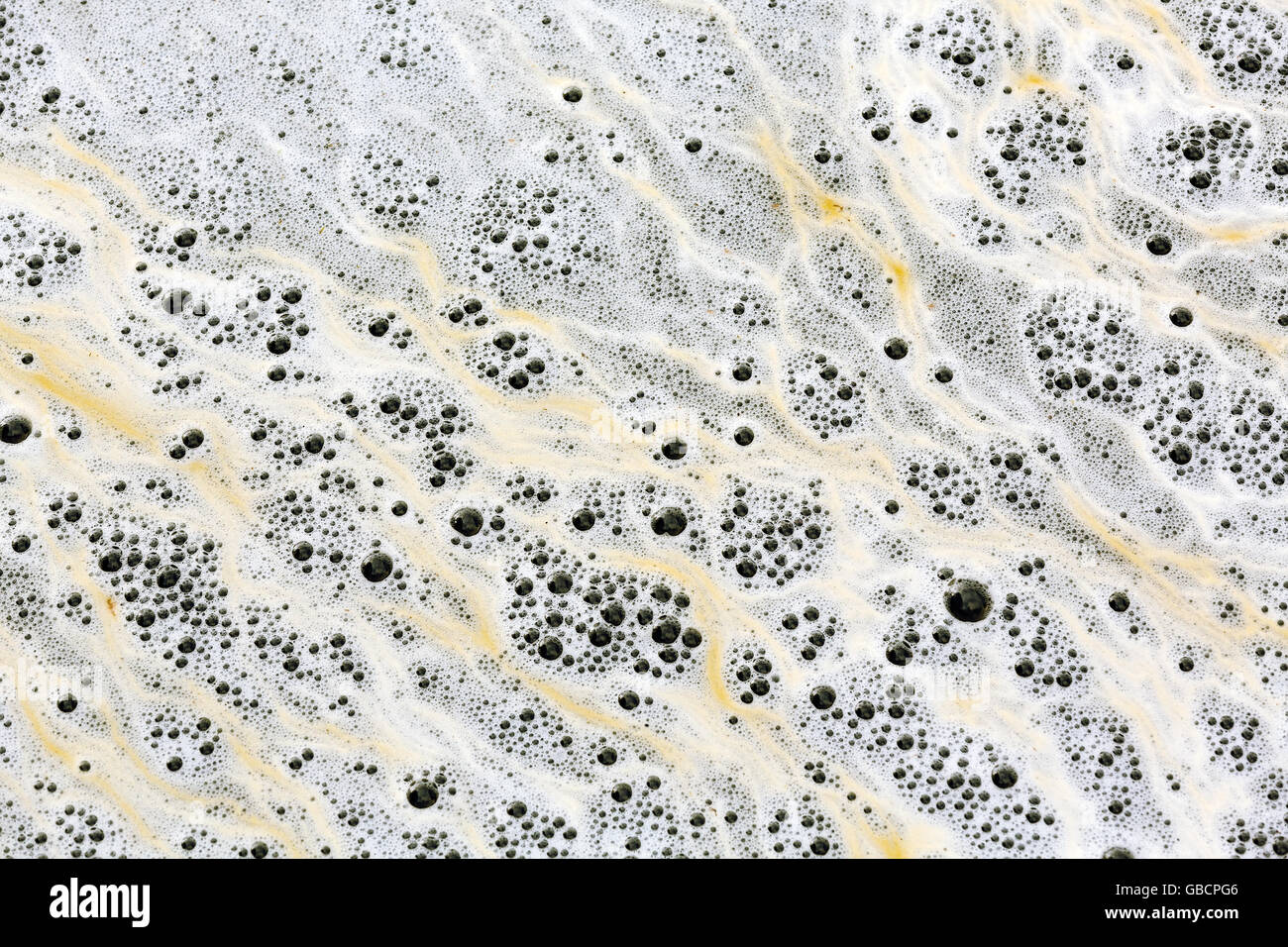Water surface scum hi-res stock photography and images - Alamy