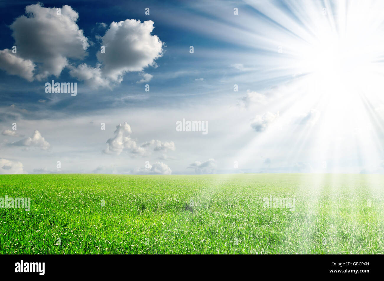 Fields spring blue sky hi-res stock photography and images - Alamy
