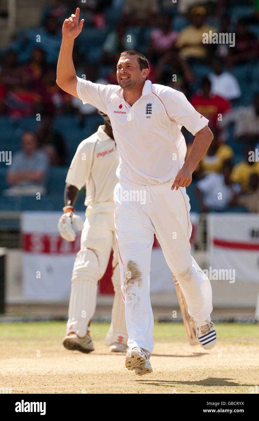 England's Steve Harmison celebrates dismissing West Indies' Daren ...
