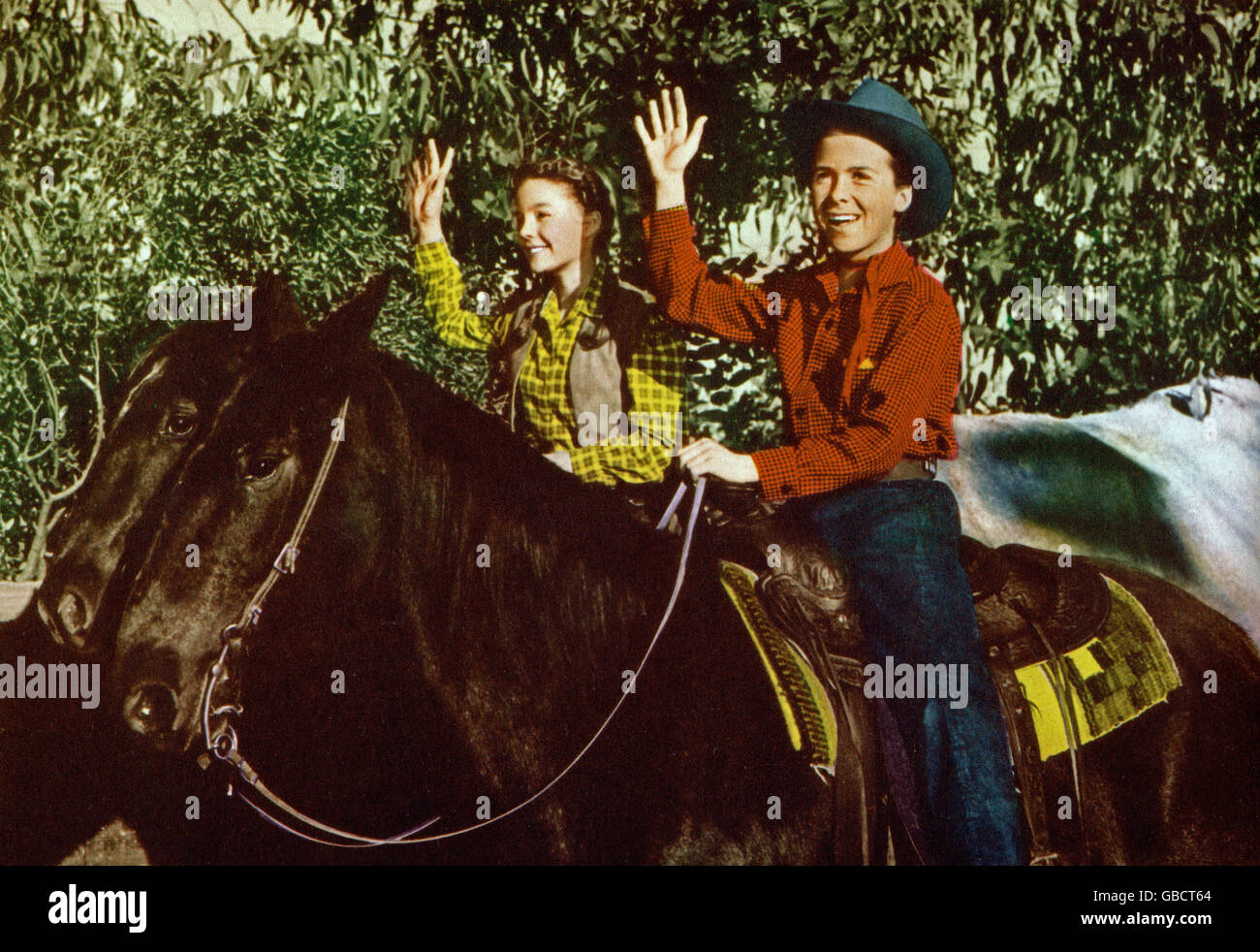 Wild Horse Ambush, USA 1952, Regie: Fred C. Brannon, Darsteller ...