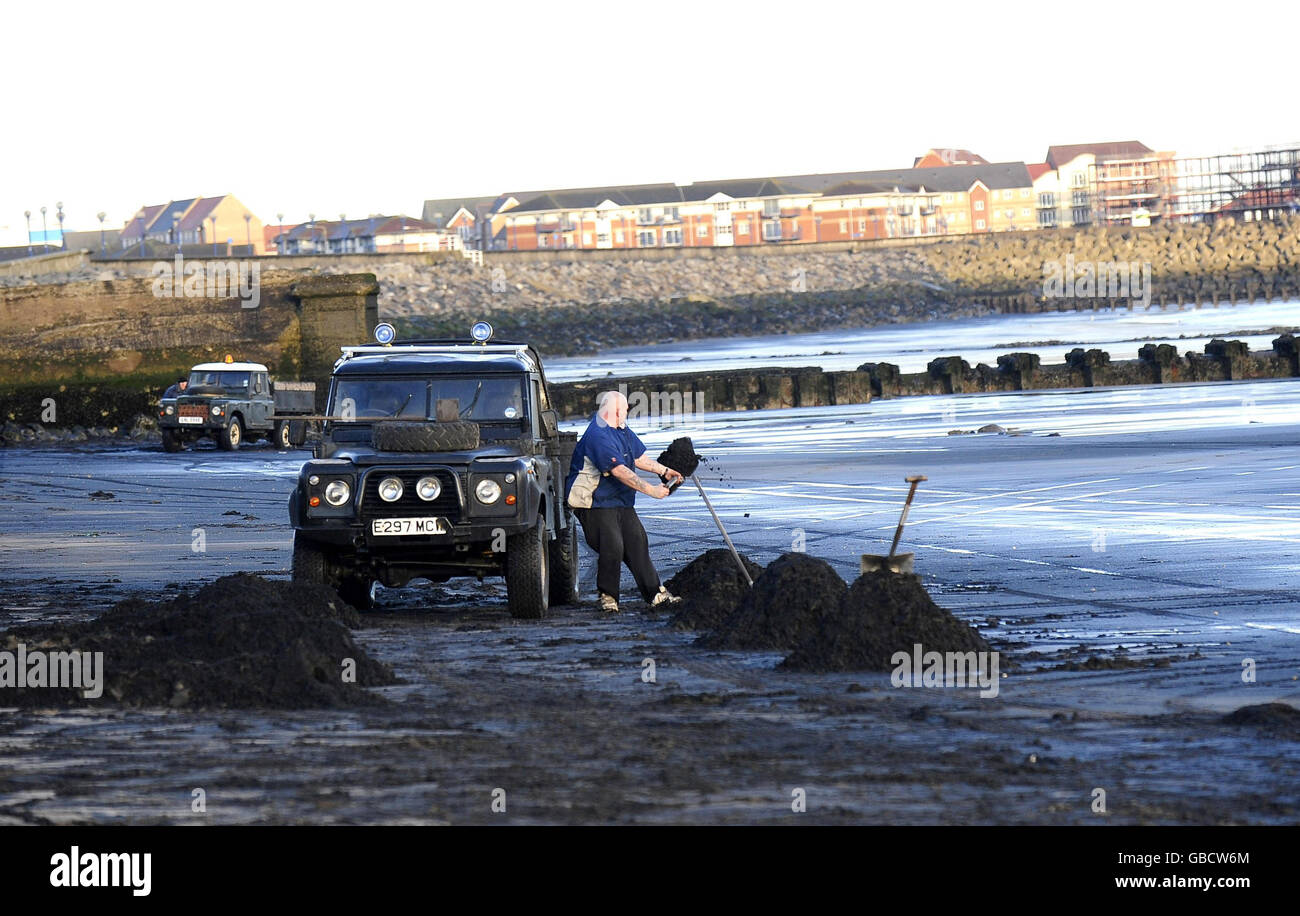 Sea coal is scraped from a beach in Hartlepool and loaded onto a truck ...