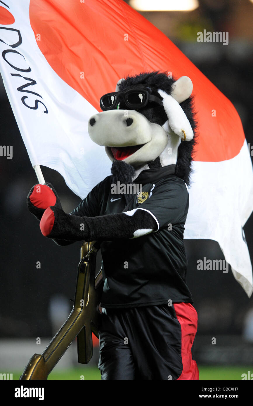Milton keynes dons mascot hi-res stock photography and images - Alamy