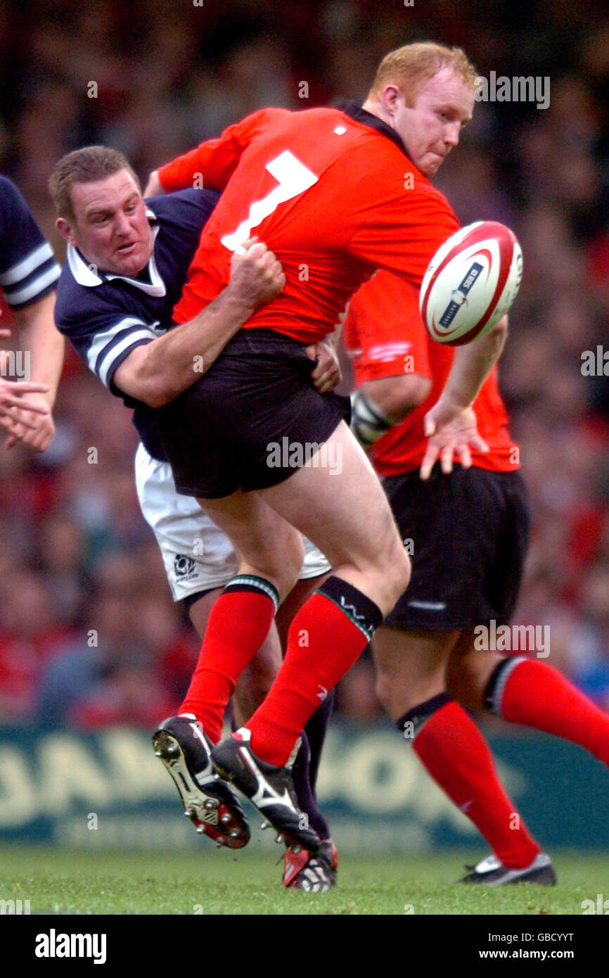 Brendan williams rugby hi-res stock photography and images - Alamy