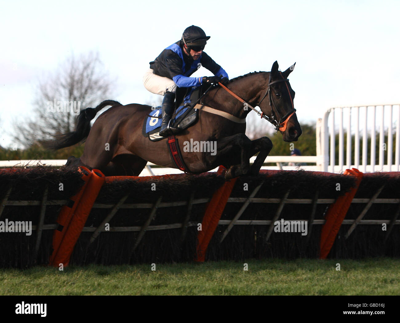 Durac hi-res stock photography and images - Alamy