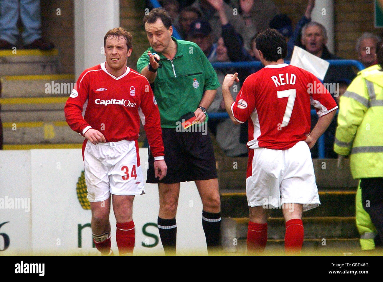 Alan rogers forest hi-res stock photography and images - Alamy