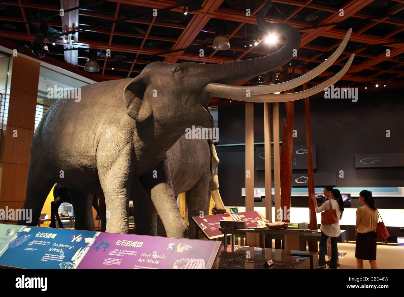 National Museum of Prehistory Stock Photo - Alamy