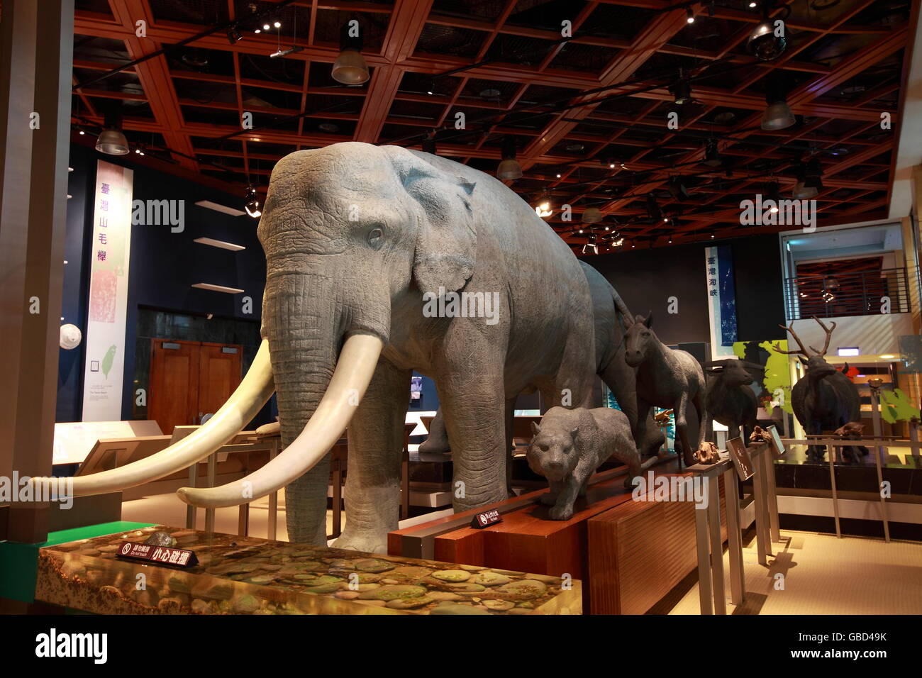 National museum of prehistory taitung hi-res stock photography and ...