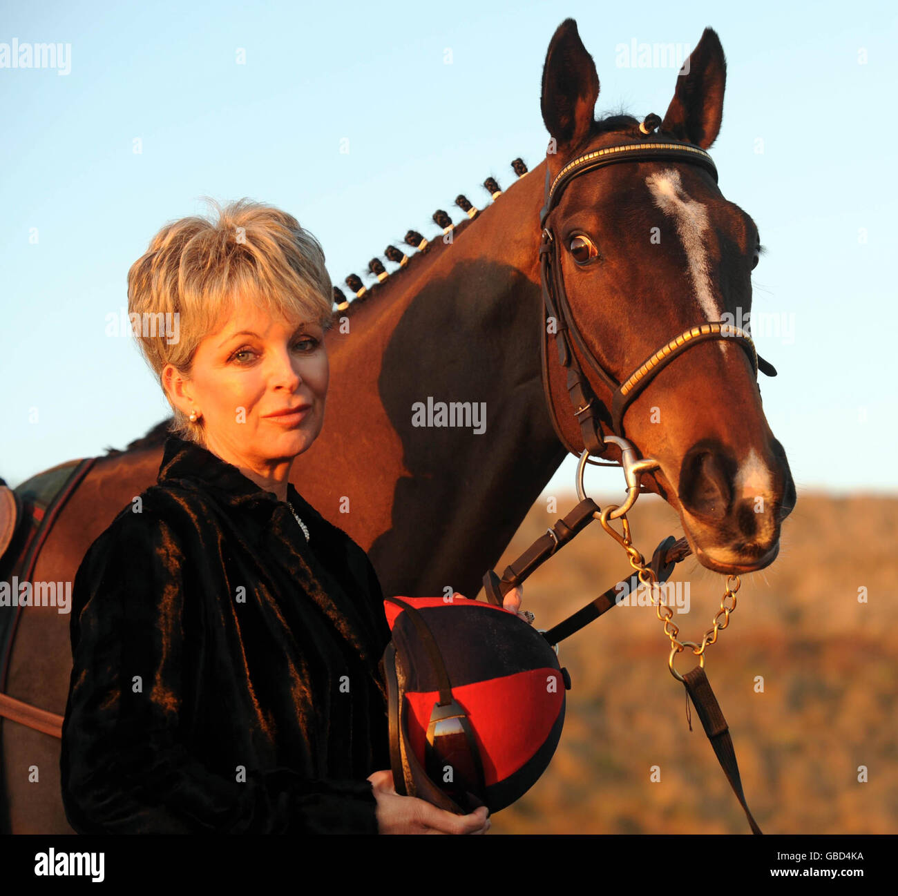 Yeates horse hi-res stock photography and images - Alamy