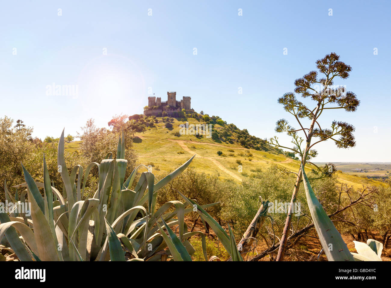 Almodovar hi-res stock photography and images - Alamy