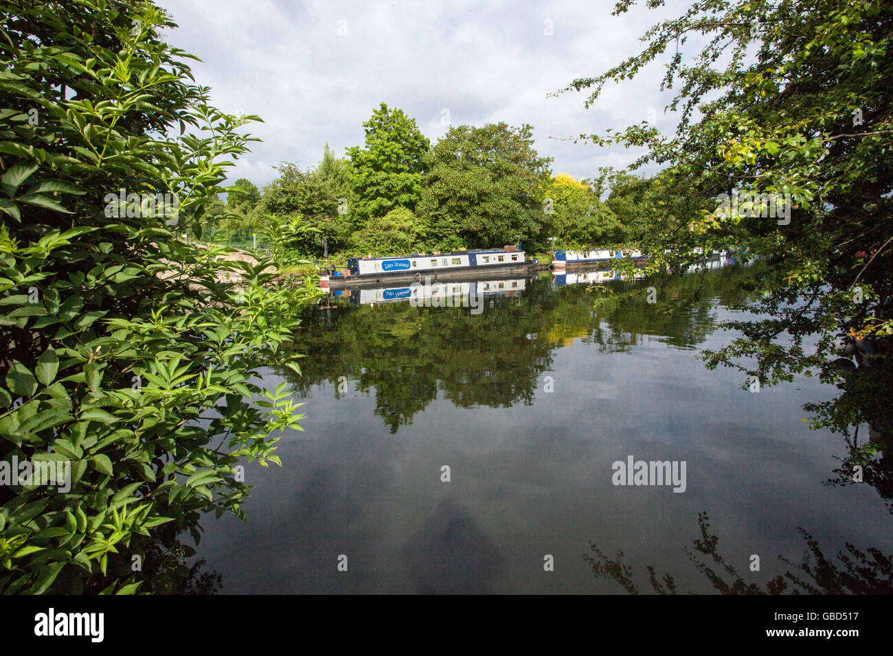 Springfield park london hi-res stock photography and images - Alamy