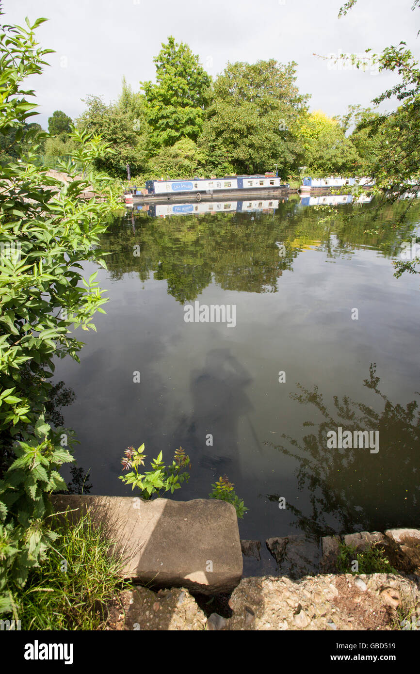 narrowboat at Springfield Park, London Stock Photo - Alamy