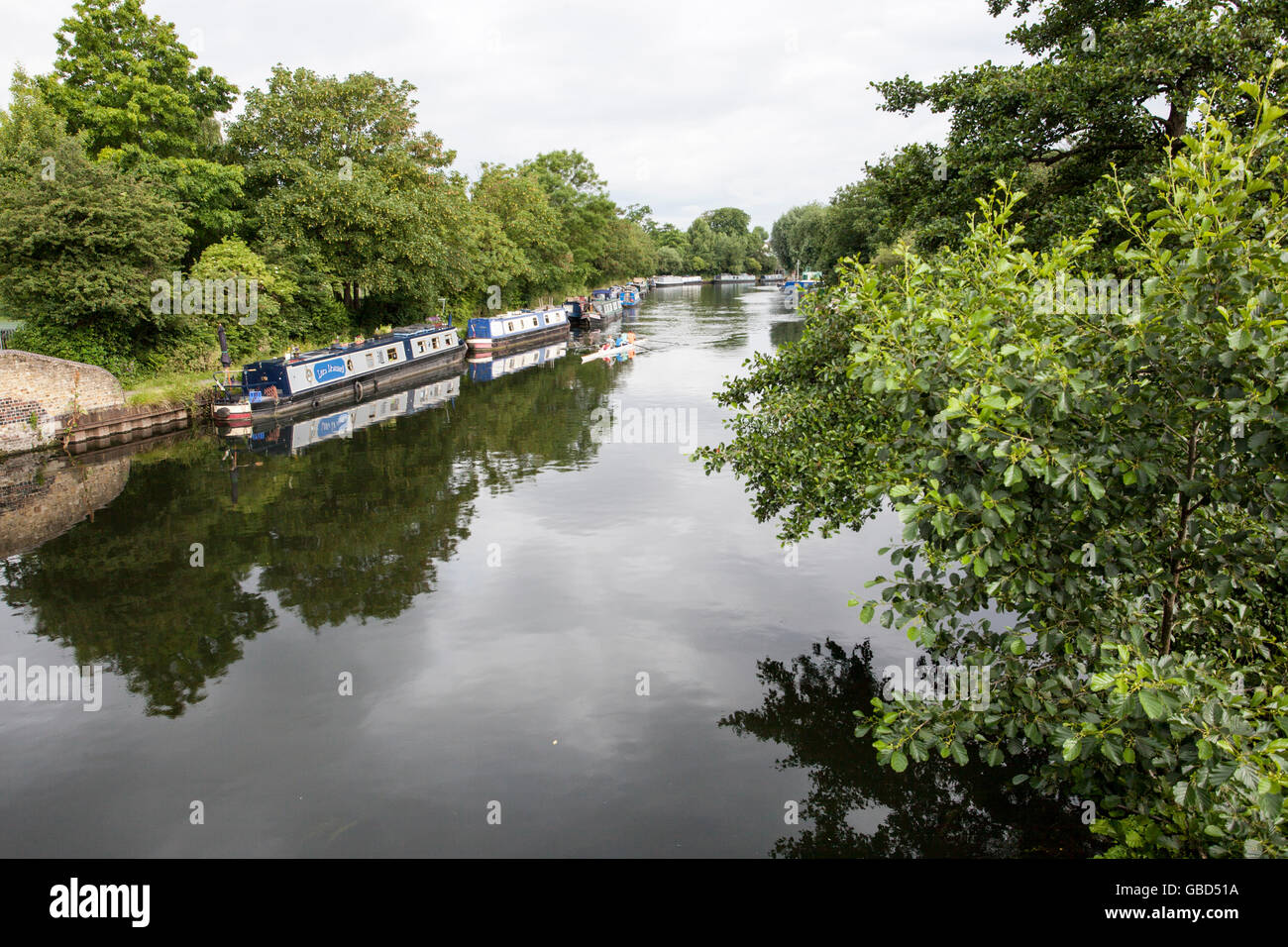 Springfield park hi-res stock photography and images - Alamy