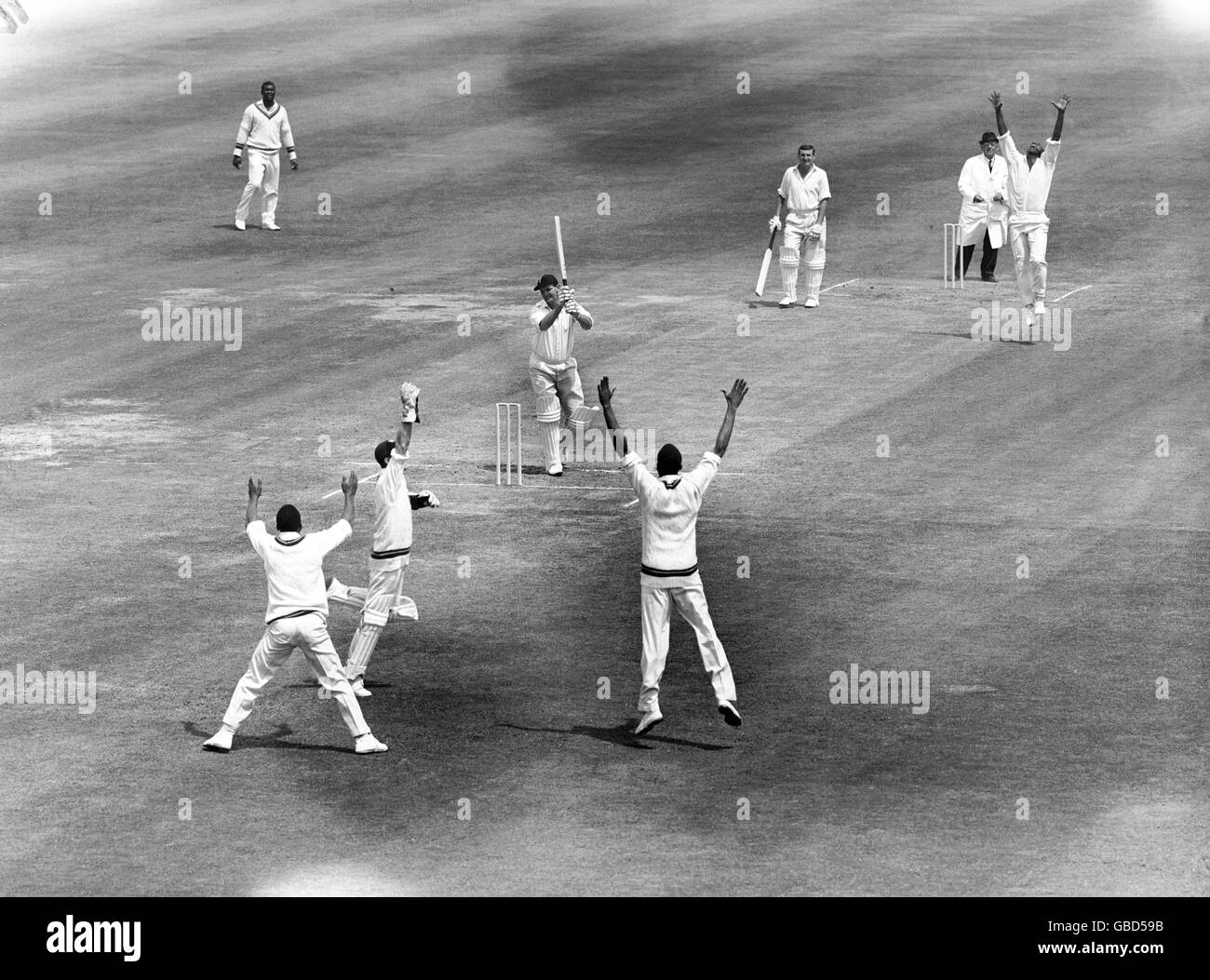 Jim parks cricket hi-res stock photography and images - Alamy