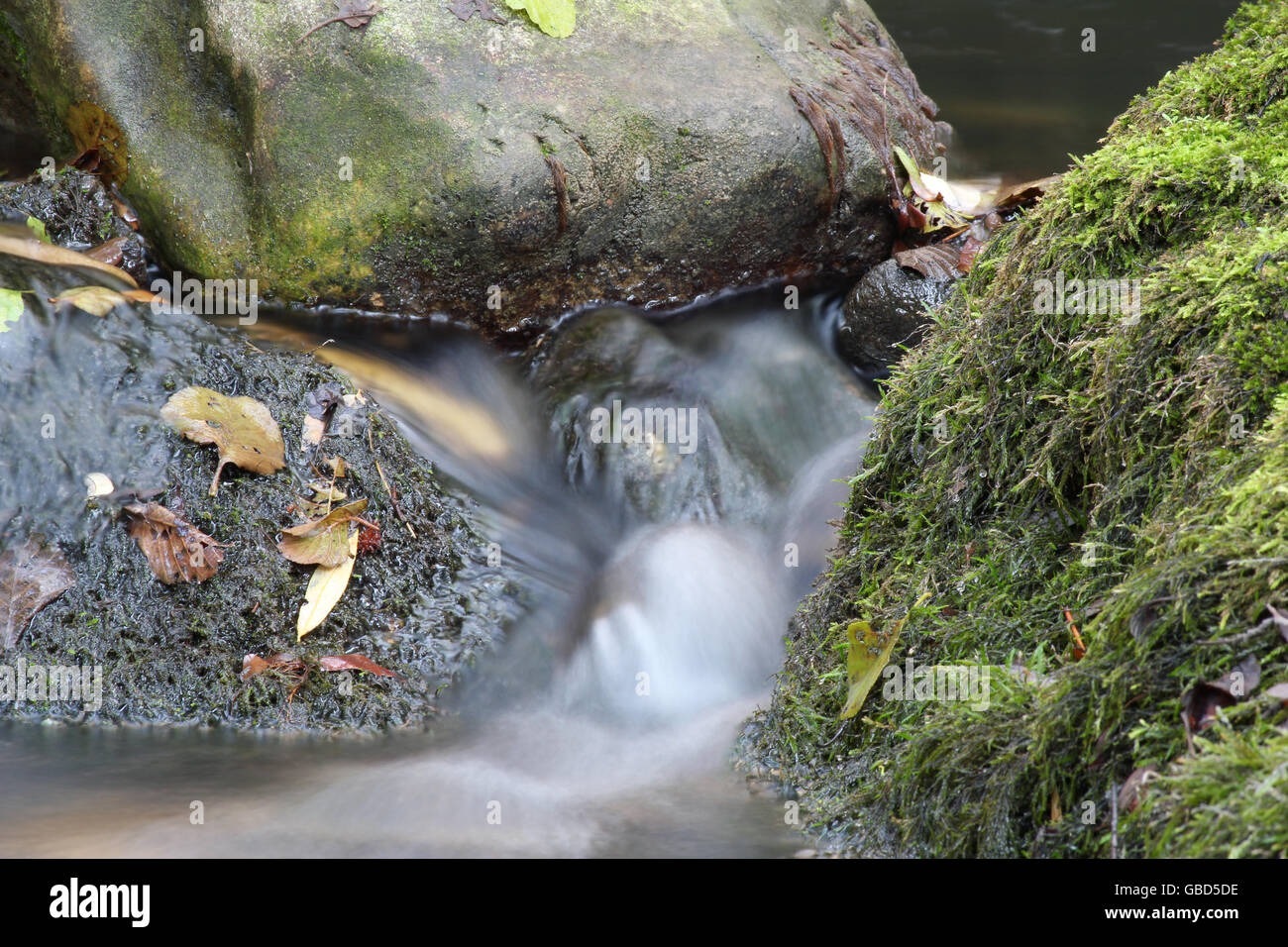 stream nature scene Stock Photo - Alamy