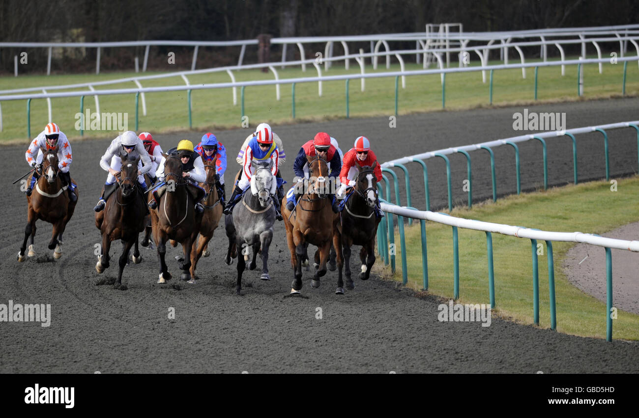 Horse Racing - Lingfield Racecourse Stock Photo - Alamy