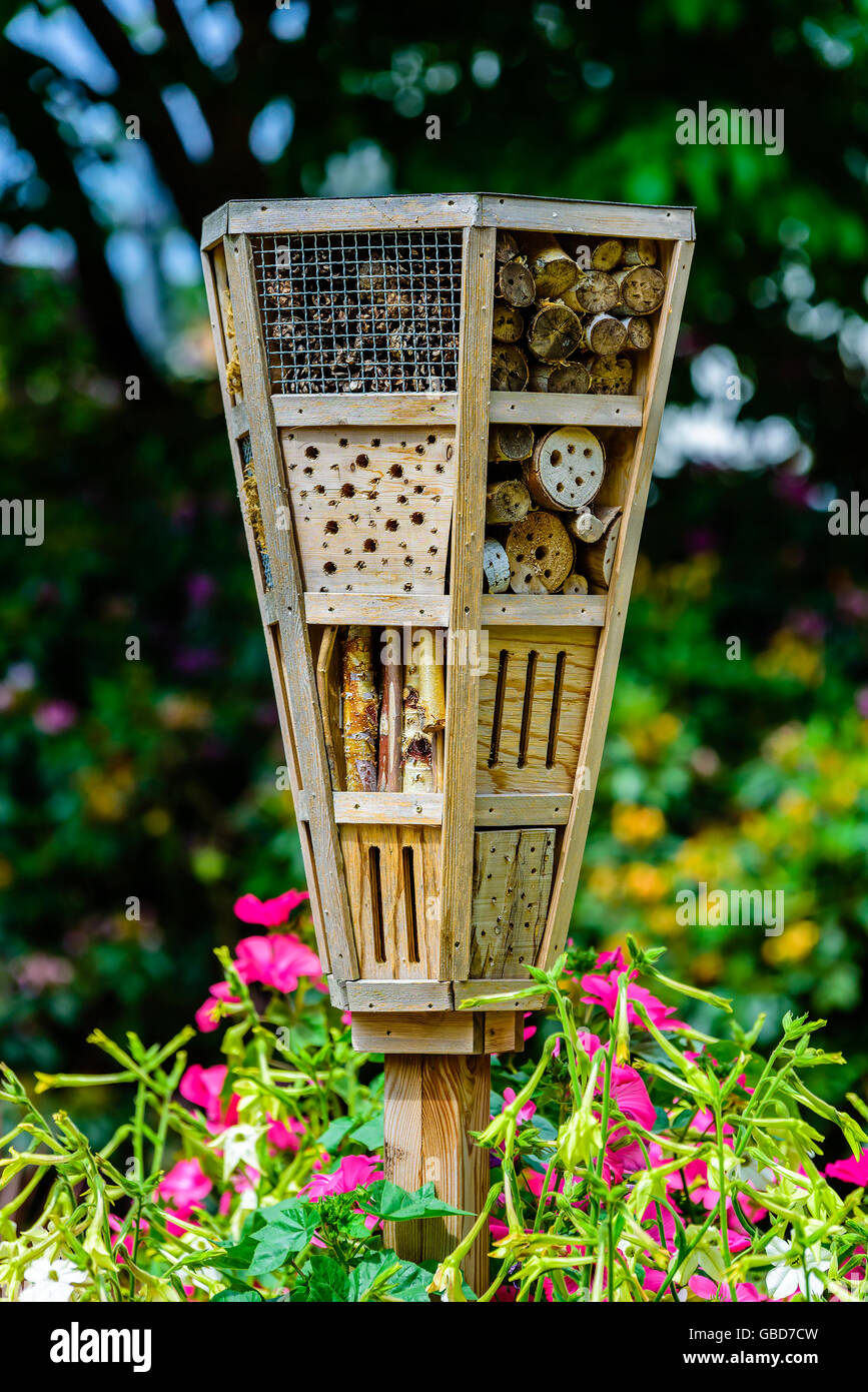 Helpful insects hi-res stock photography and images - Alamy