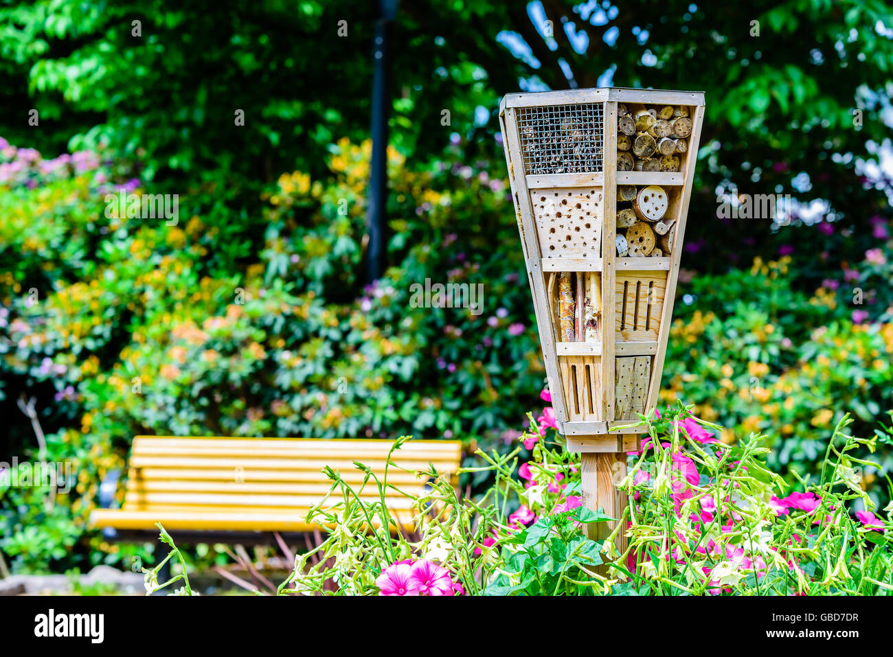 Helpful insects hi-res stock photography and images - Alamy