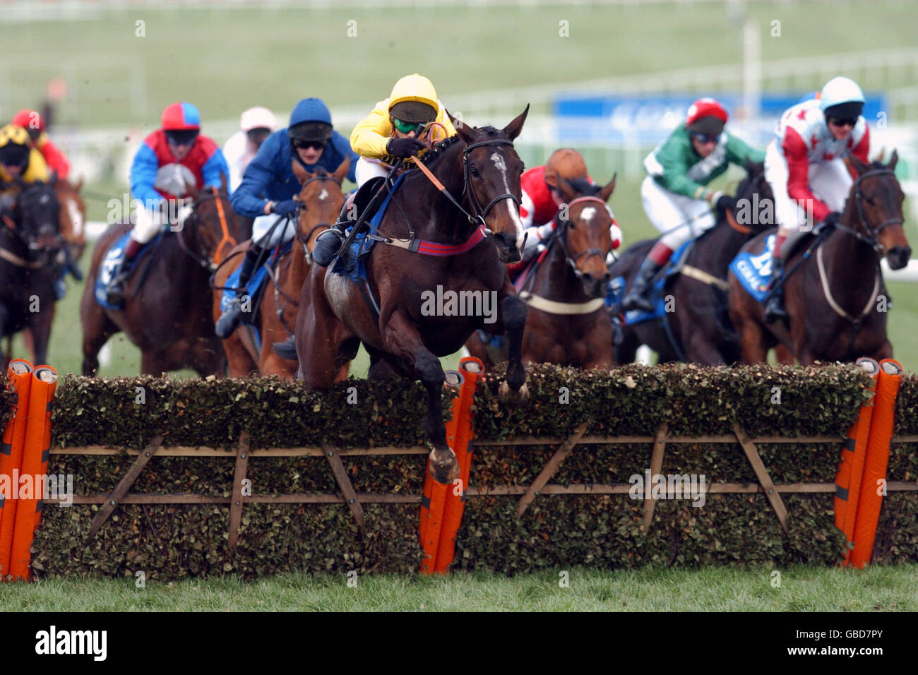 Horse Racing - Cheltenham Festival Stock Photo - Alamy