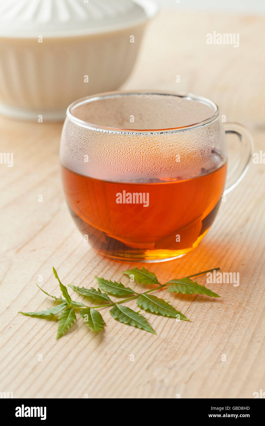 Neem hi-res stock photography and images - Alamy