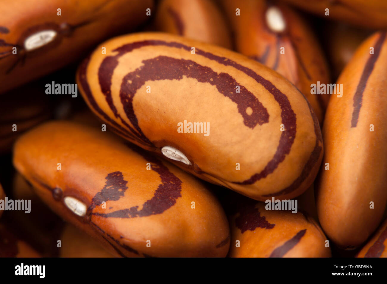 Close up of Eye of the goat beans full frame Stock Photo - Alamy