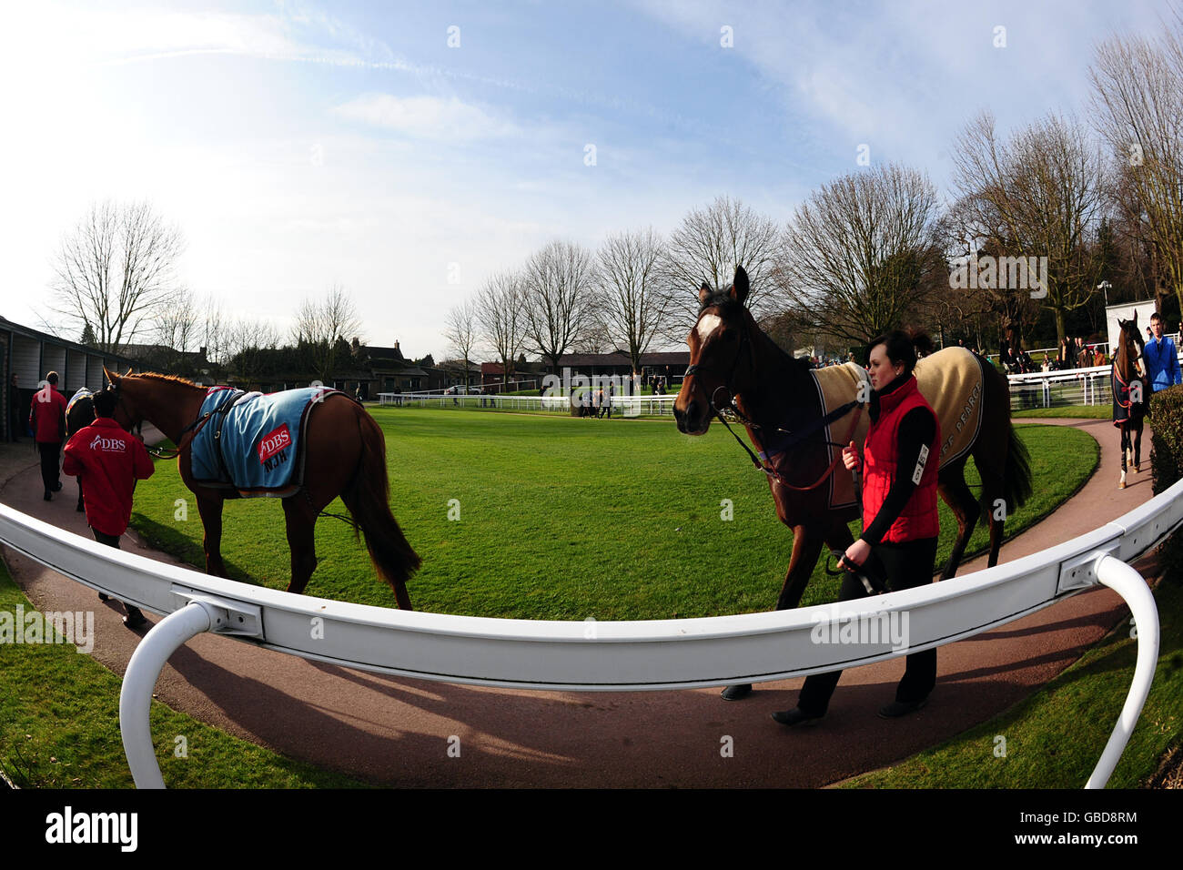 Horses are lead around the parade ring hi-res stock photography and ...