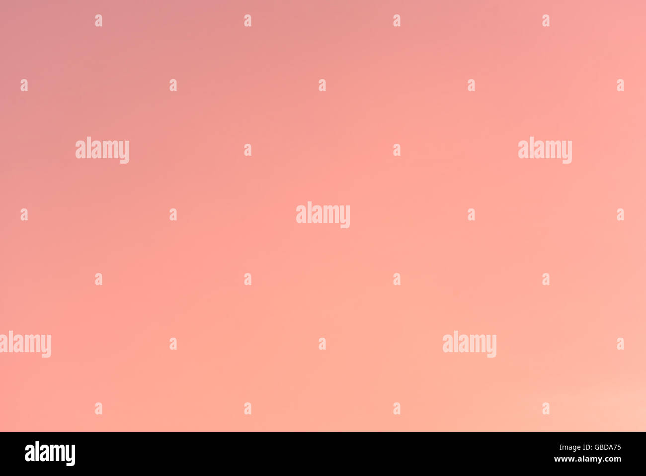Salmon Pink Gradient Background Stock Photo - Alamy