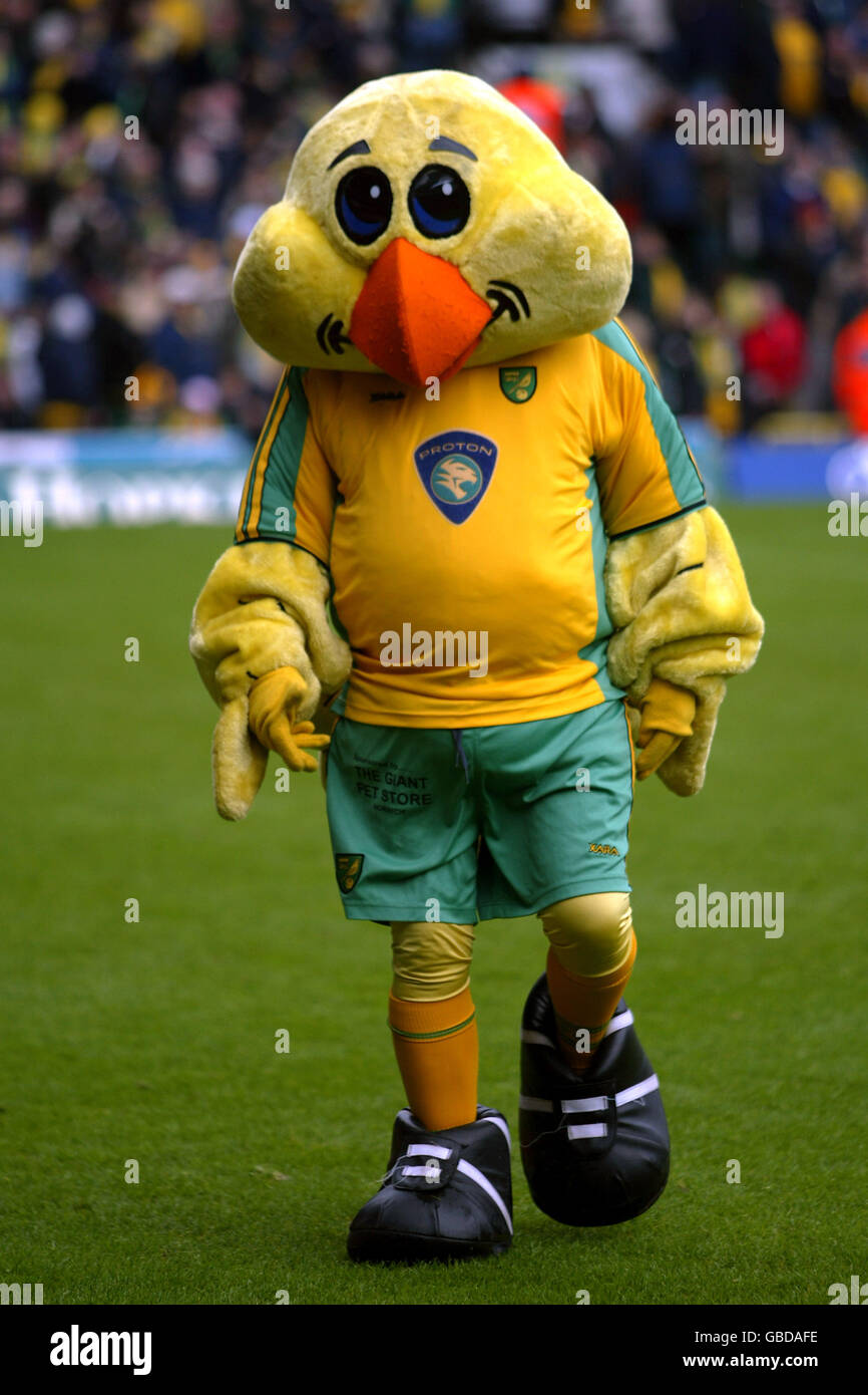 Norwich city mascot hi-res stock photography and images - Alamy