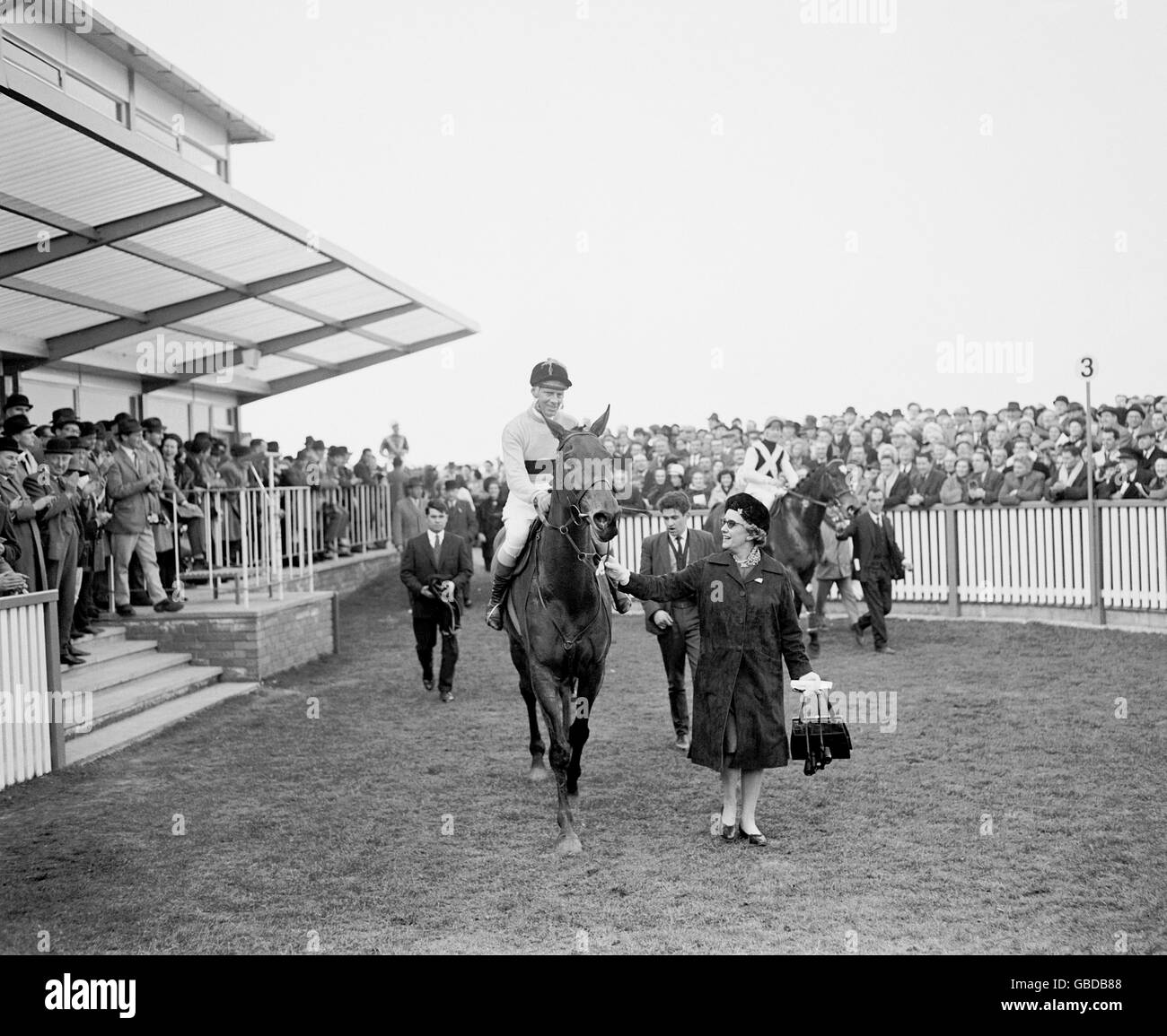 Cheltenham Gold Cup winner Arkle, Pat Taaffe up, is led in by his owner ...