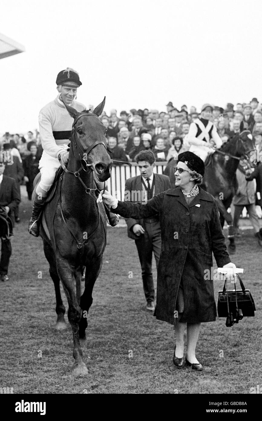 Horse racing crowd cheltenham Black and White Stock Photos & Images - Alamy
