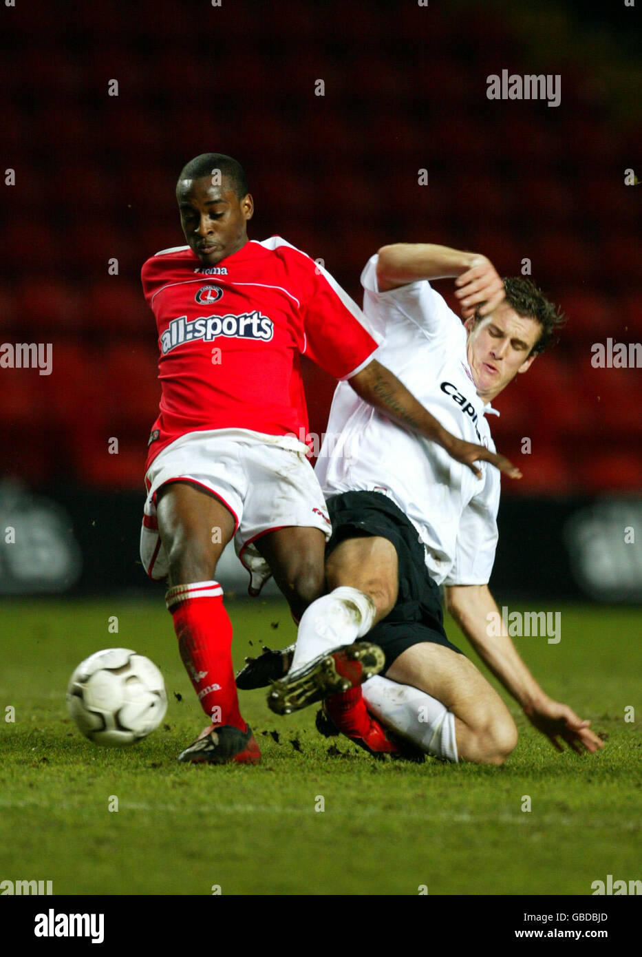David tarka hi-res stock photography and images - Alamy