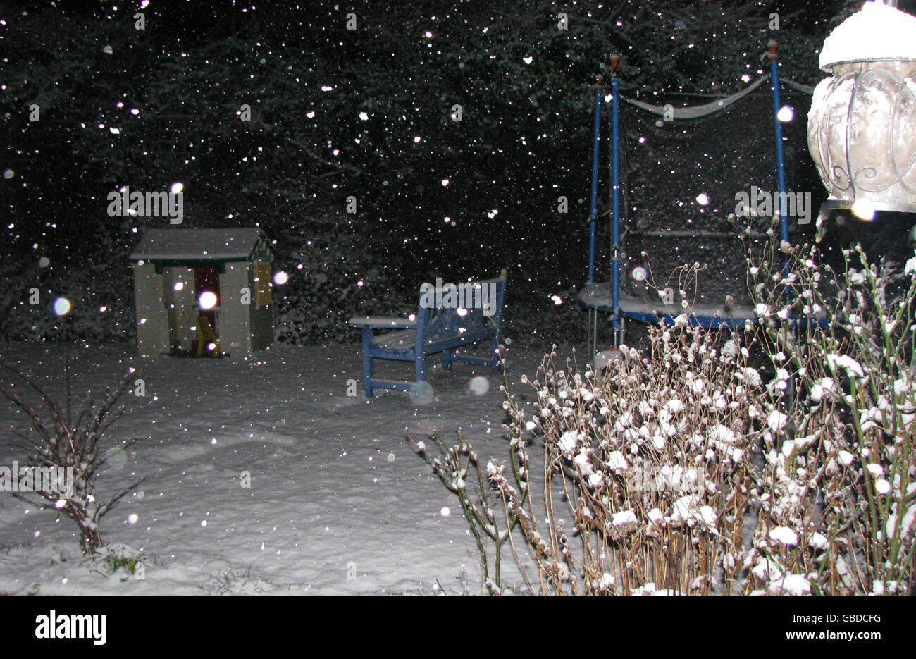 Snow Falling At Night