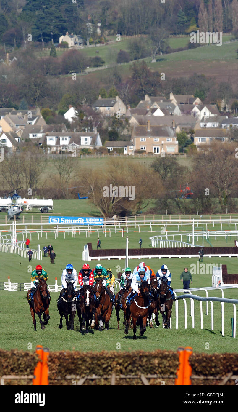 Horse Racing - Cheltenham Festival Stock Photo - Alamy